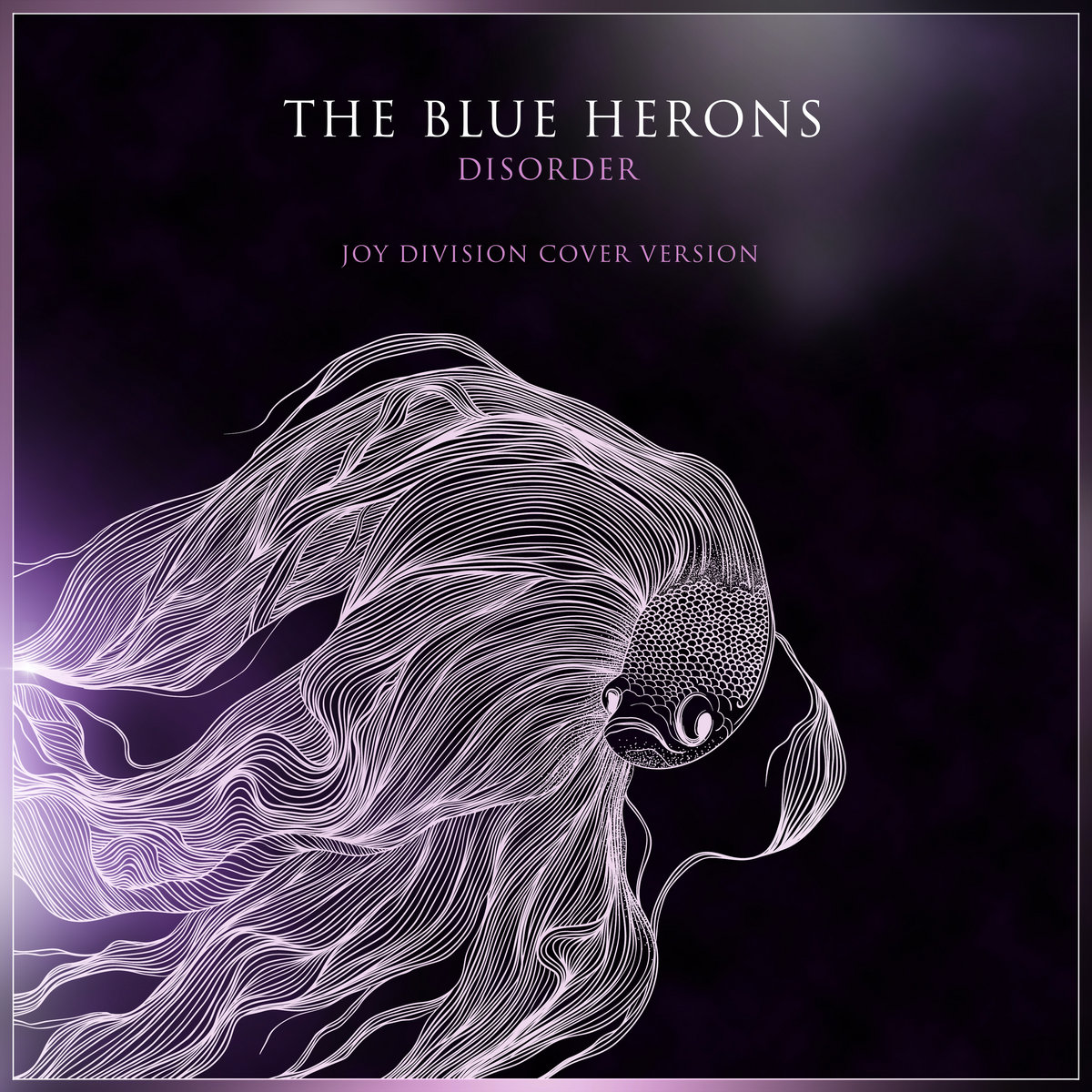 disorder / joy division cover | the blue herons