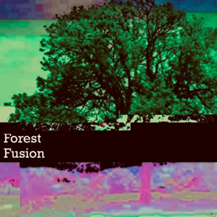 Forest Fusion | Forever Green