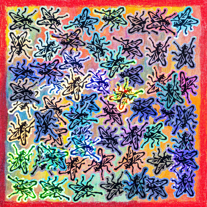 Swirl Maps | Eyes and Flys