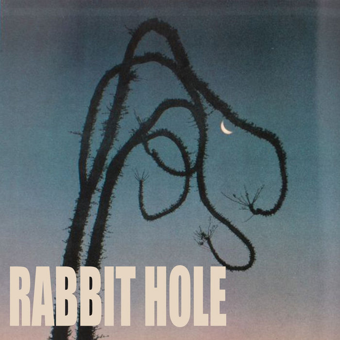 Rabbit Hole | Waldymoto