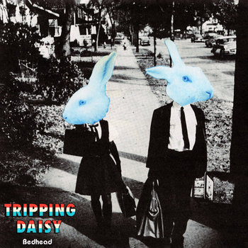 Music | Tripping Daisy