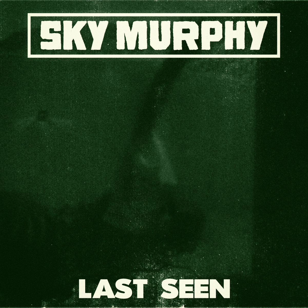 Last Seen | Sky Murphy