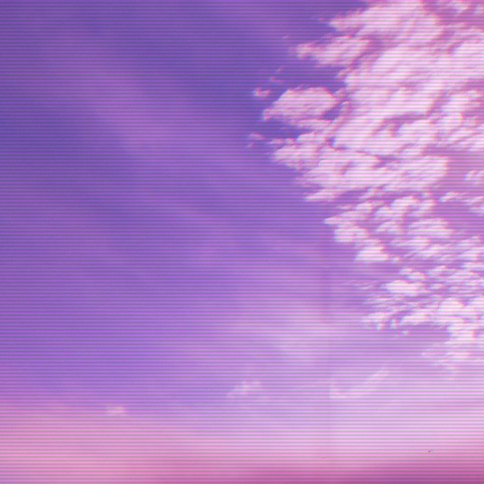 Pokemon Lo-fi Mix, Vol. 5 | Virdeponte