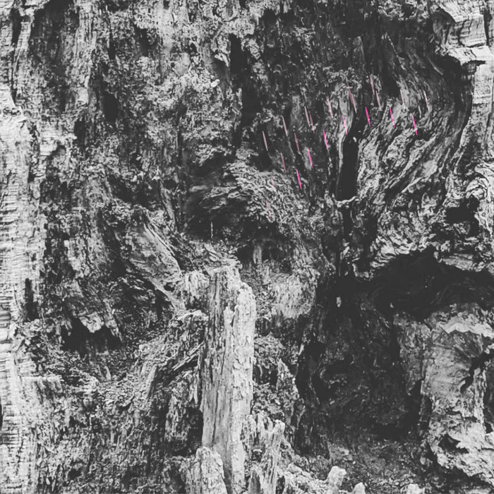 MARBLED BARK | giselle