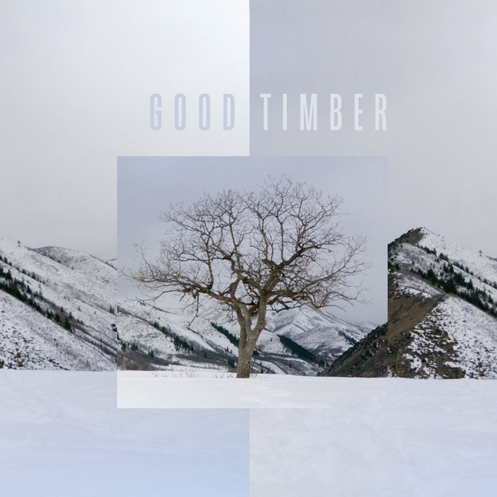 Good Timber | Drew Danburry