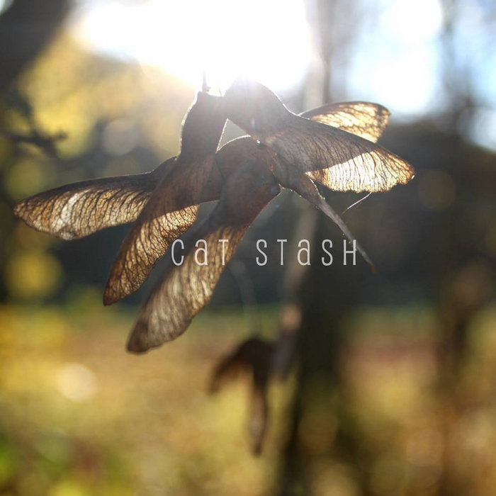 EP 2013 | Cat Stash