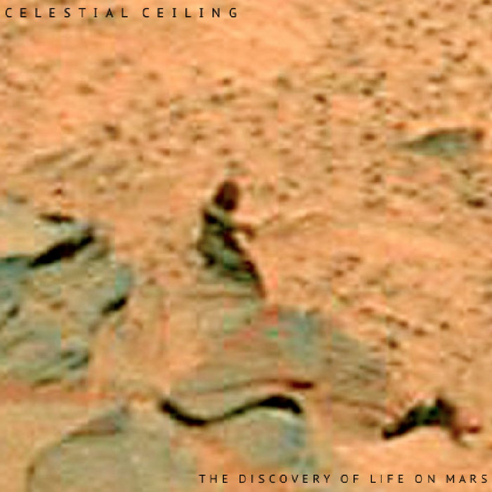 "The Discovery of Life on Mars" (2010) | Celestial Ceiling