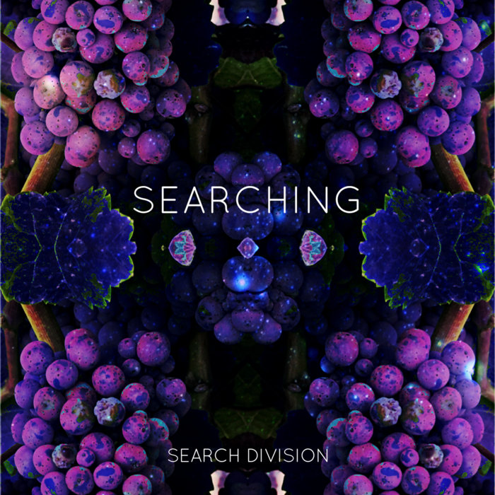 Searching | Search Division