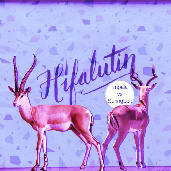 Impala vs. Springbok | Hifalutin