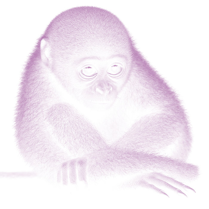 Sonny Gray | Alex Wilcox | boisha