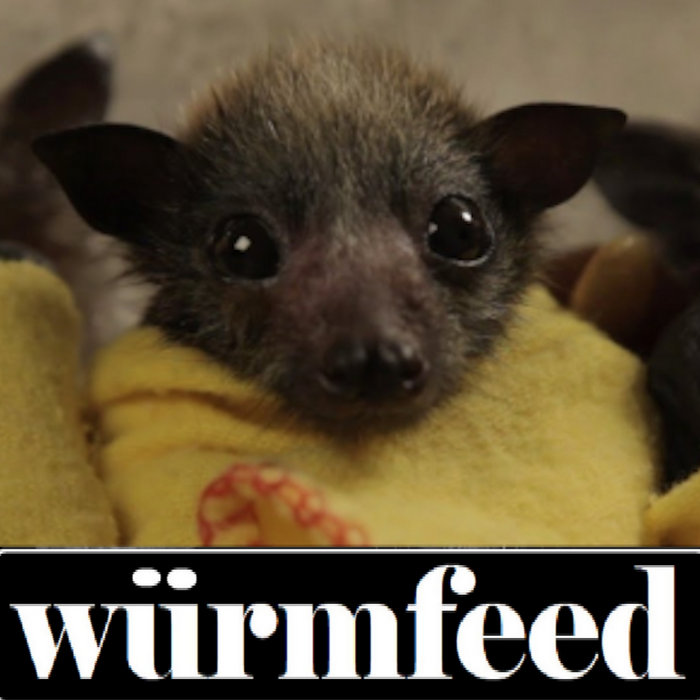 Würmfeed - bat stew | Immaculate Filth Productions