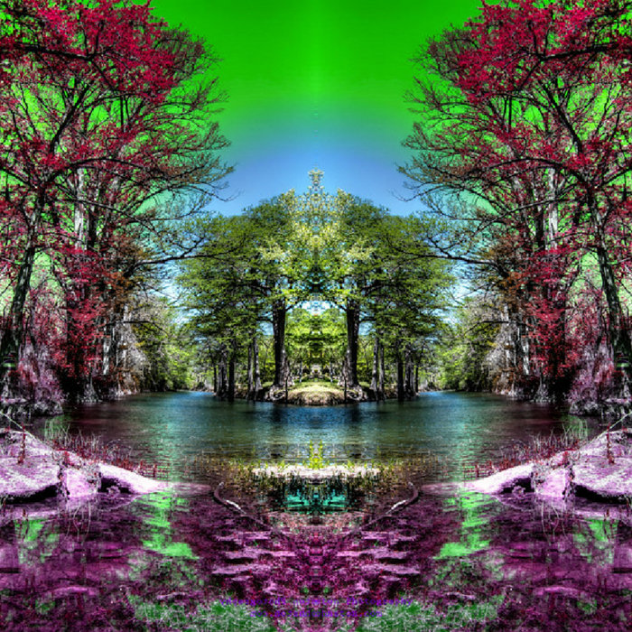 Cypress & Sun Cuts | Nikolas J Person