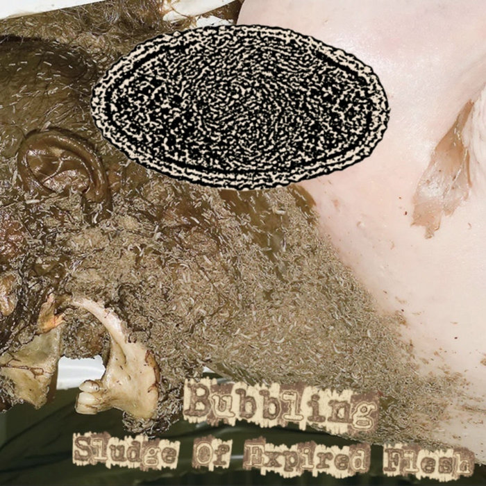 Feast Of Maggot Ridden Flesh | Blood Blister