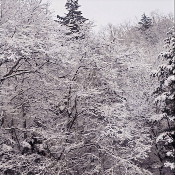 Potato Club 401 - 4 | Yuto Ashida