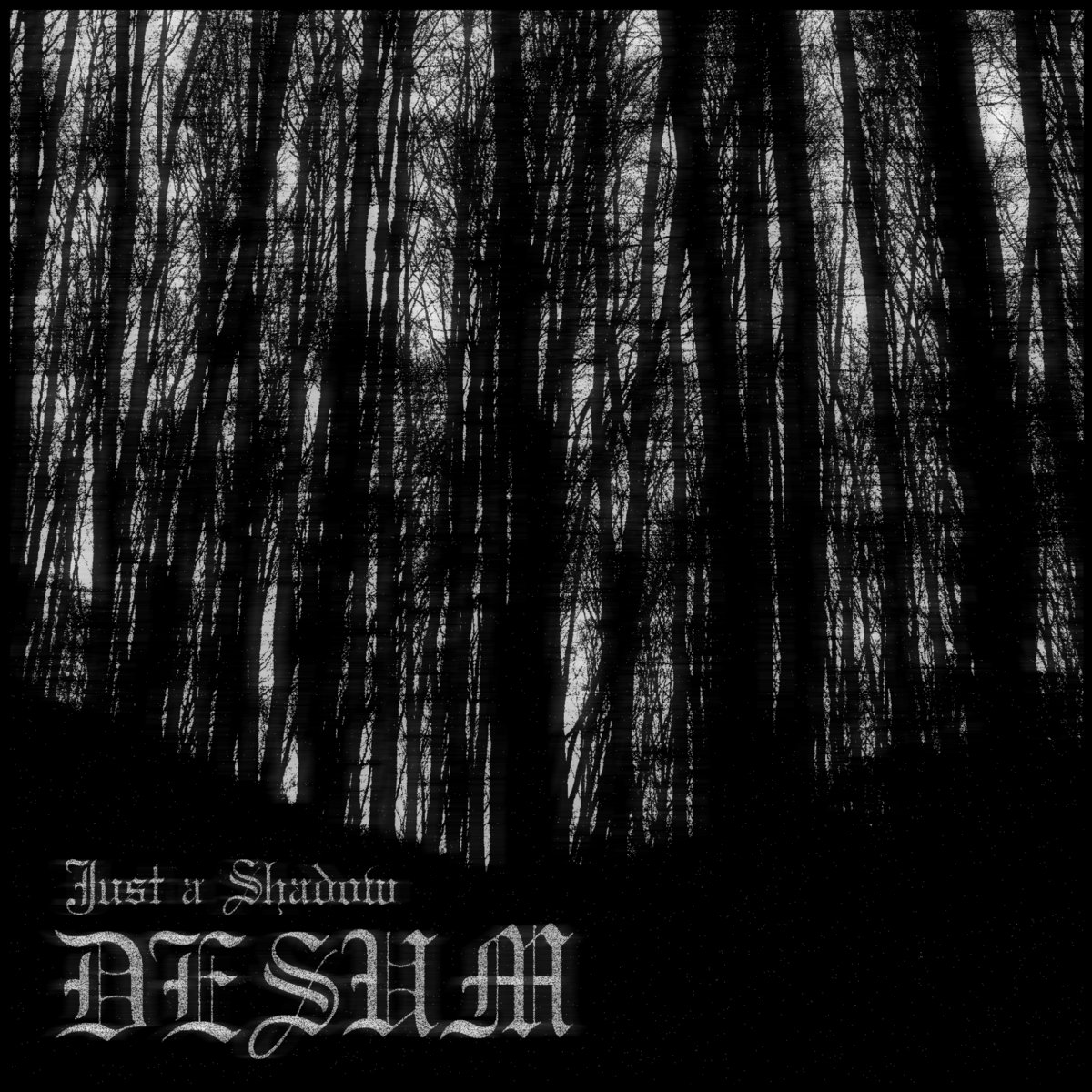 Just a Shadow | Desum