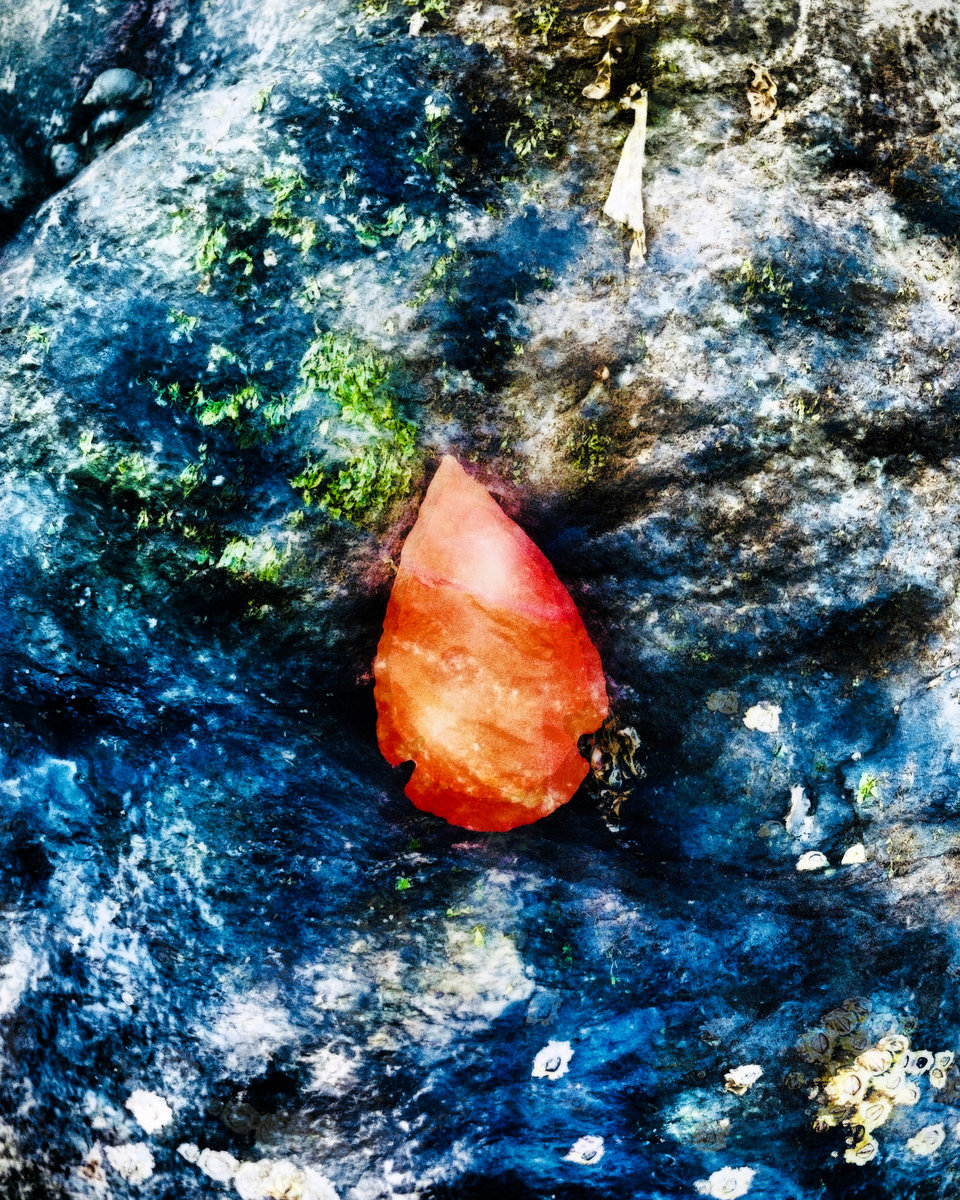 Dylan Eil Ton | Tristan Rhys Williams & ob od aeourth | Listen to the ...