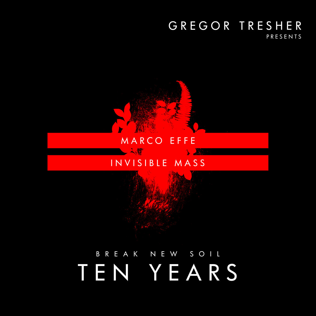 Invisible Mass | Marco Effe