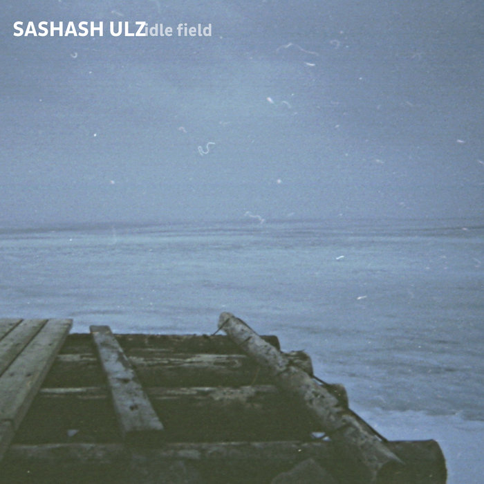 idle field | SASHASH ULZ | attenuation circuit