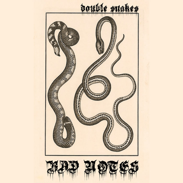 Double Snakes EP | Bad Notes