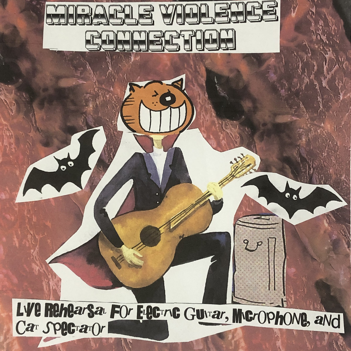 Live Rehearsal for Electric Guitar, Microphone, and Cat Spectator ...