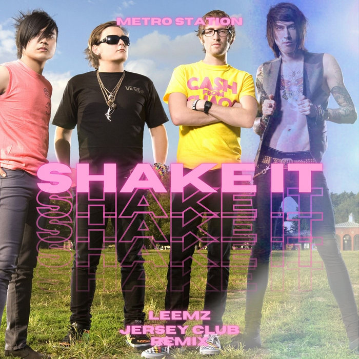 Shake It (Leemz Remix) | Metro Station | Leemz