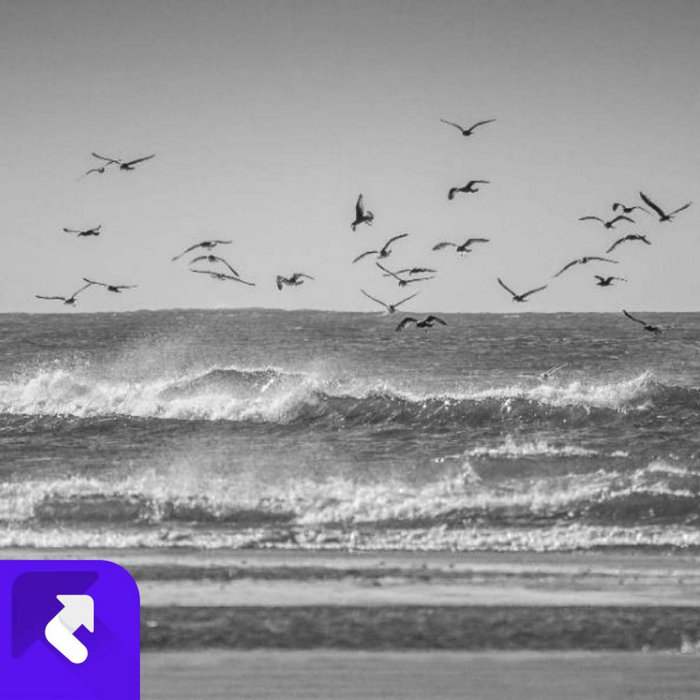 情感少年 | LiiiZHJ | Showstart-release