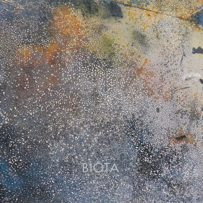 Funnel to a Thread | Biota