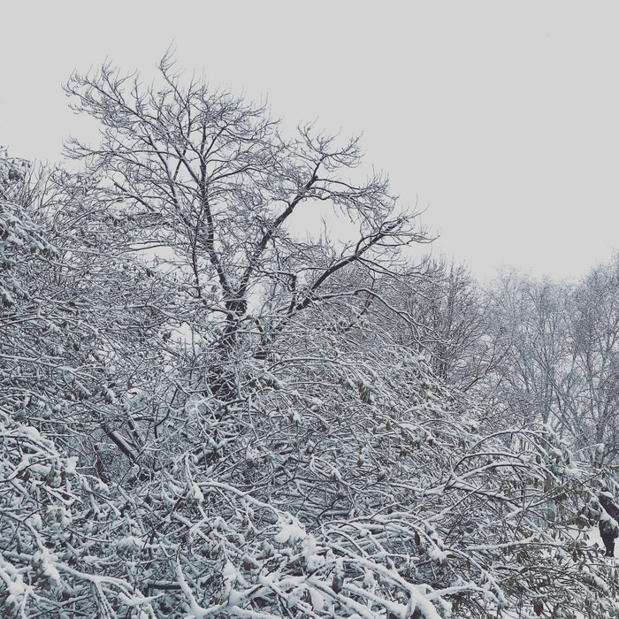 Bleak Mid Winter | SPC ECO
