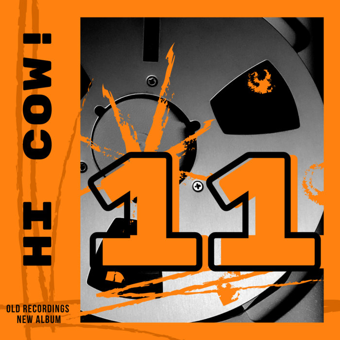 Hi Cow 11 | Hi Cow