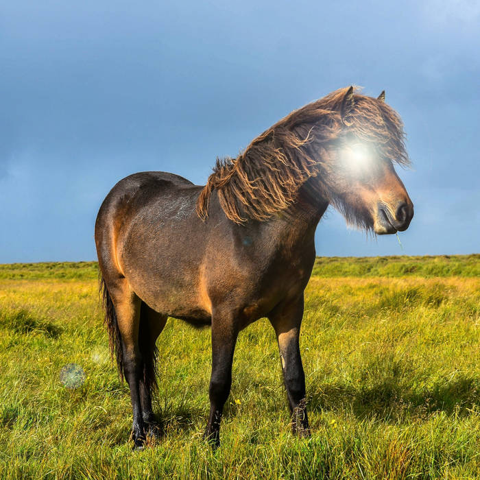 devil pony | Travis Cook