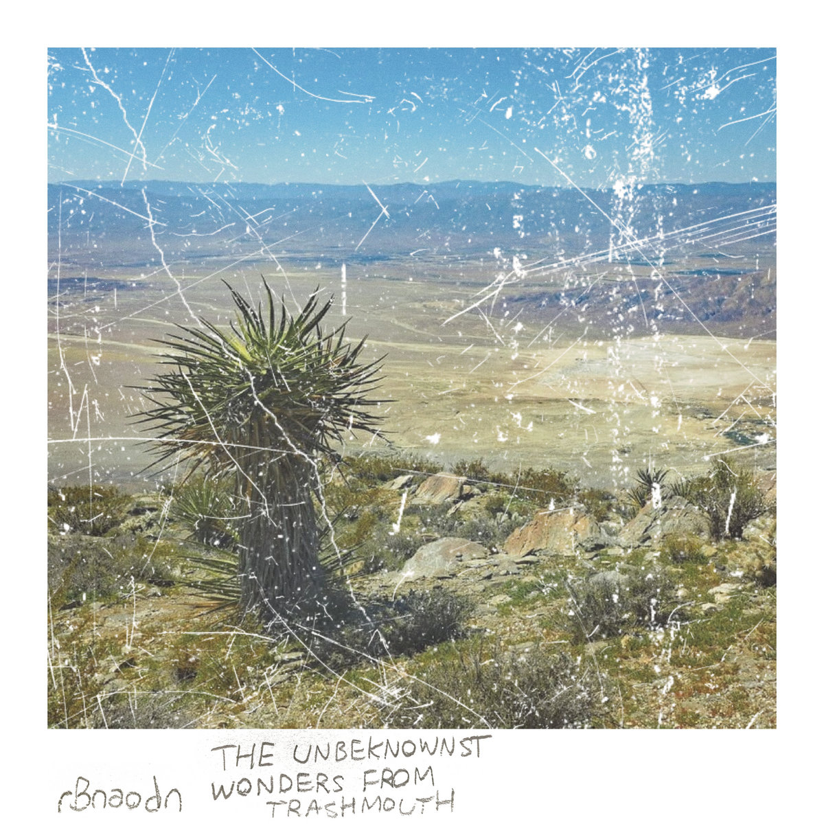 The Unbeknownst Wonders from Trashmouth | rBnaodn