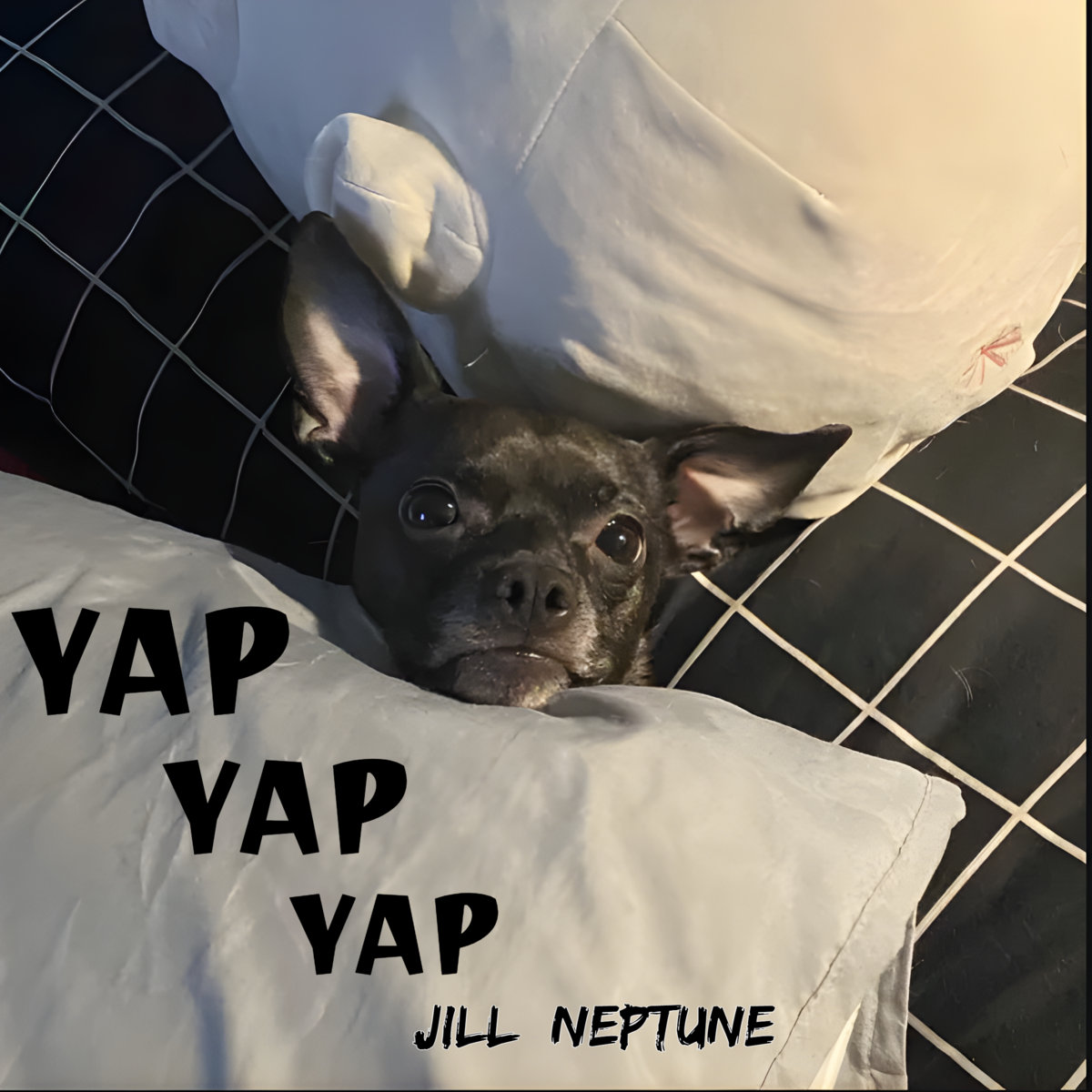Yap Yap Yap | Jill Neptune