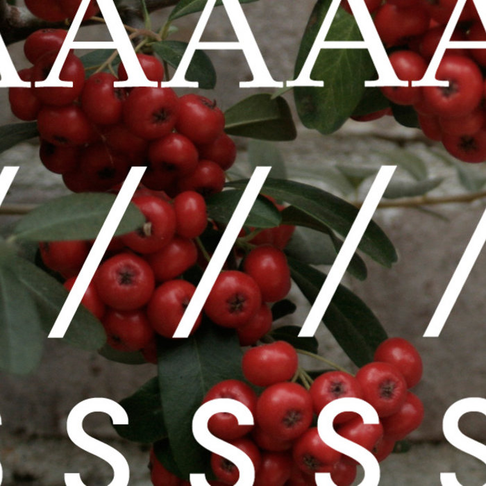 Radost Moya | The Arab Springs