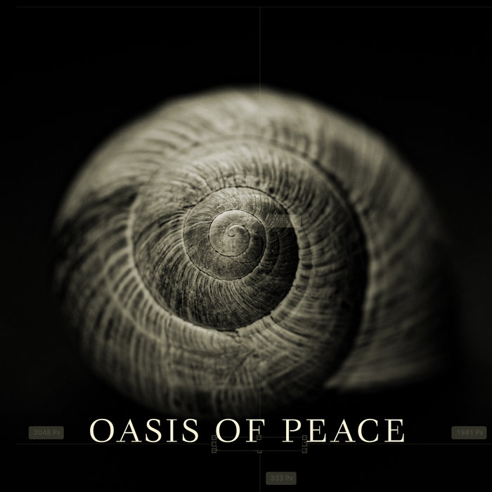 Oasis of Peace | Peter Ries