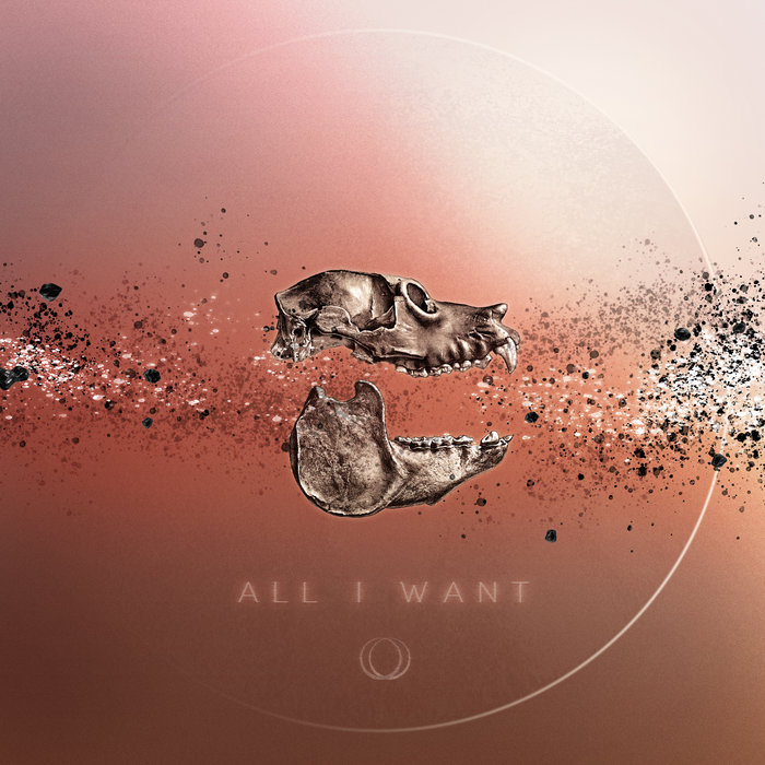 All I Want | Sun's Spectrum