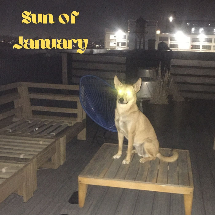 Sun Of January | Beyondo