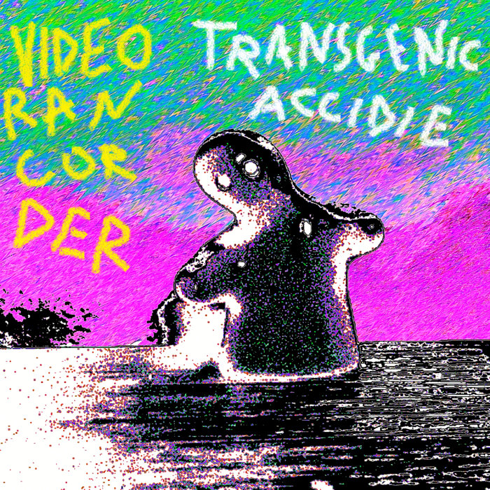Transgenic Accidie | Videorancorder | Bromtol Largesse