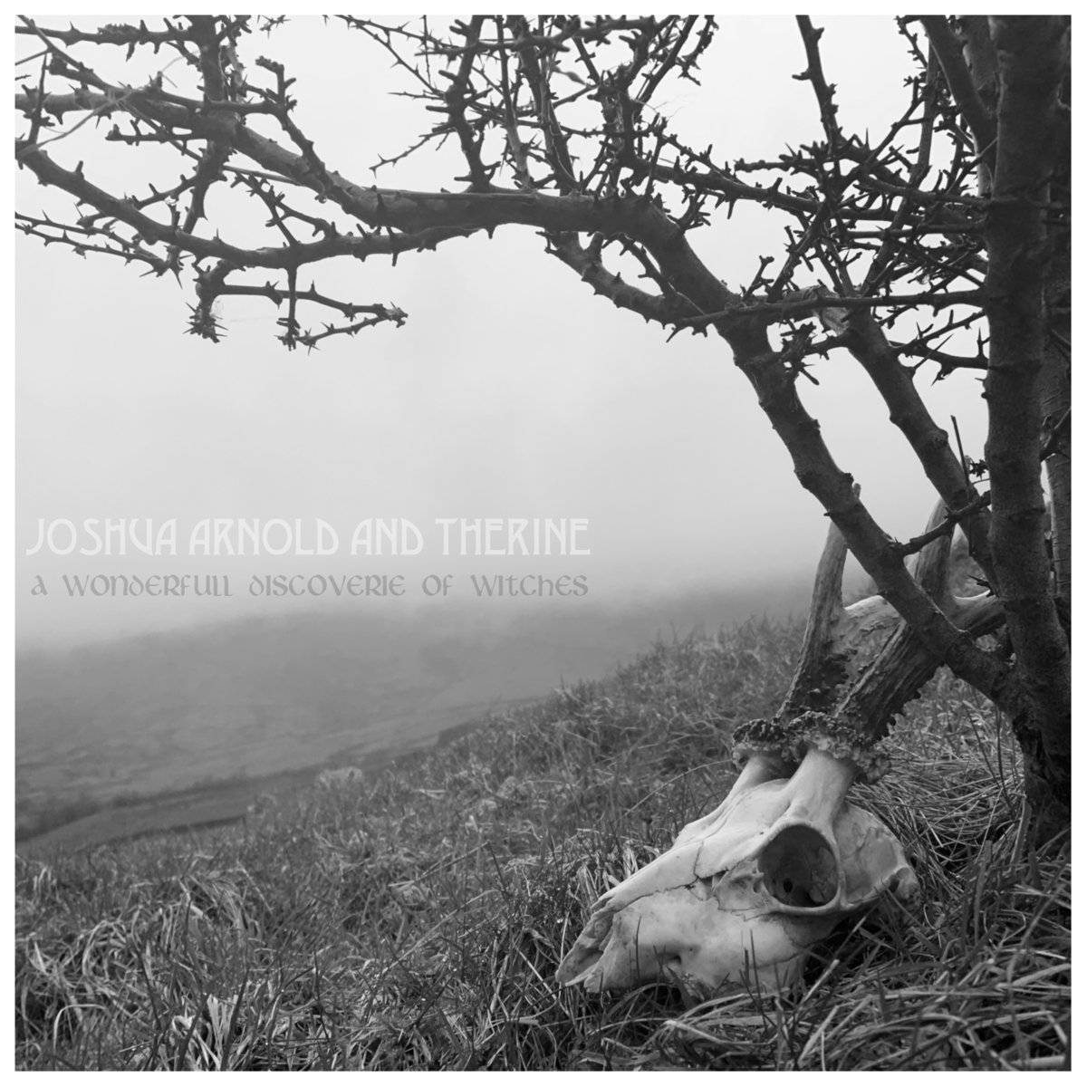 A Wonderfull Discoverie of Witches | Joshua Arnold and Therine