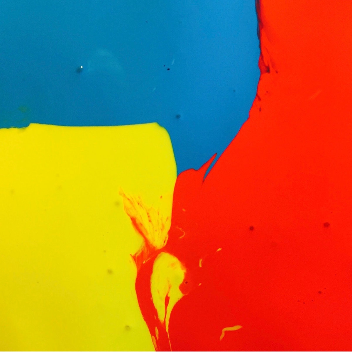 Here, Now, Paradise | The Fine Art Rascal