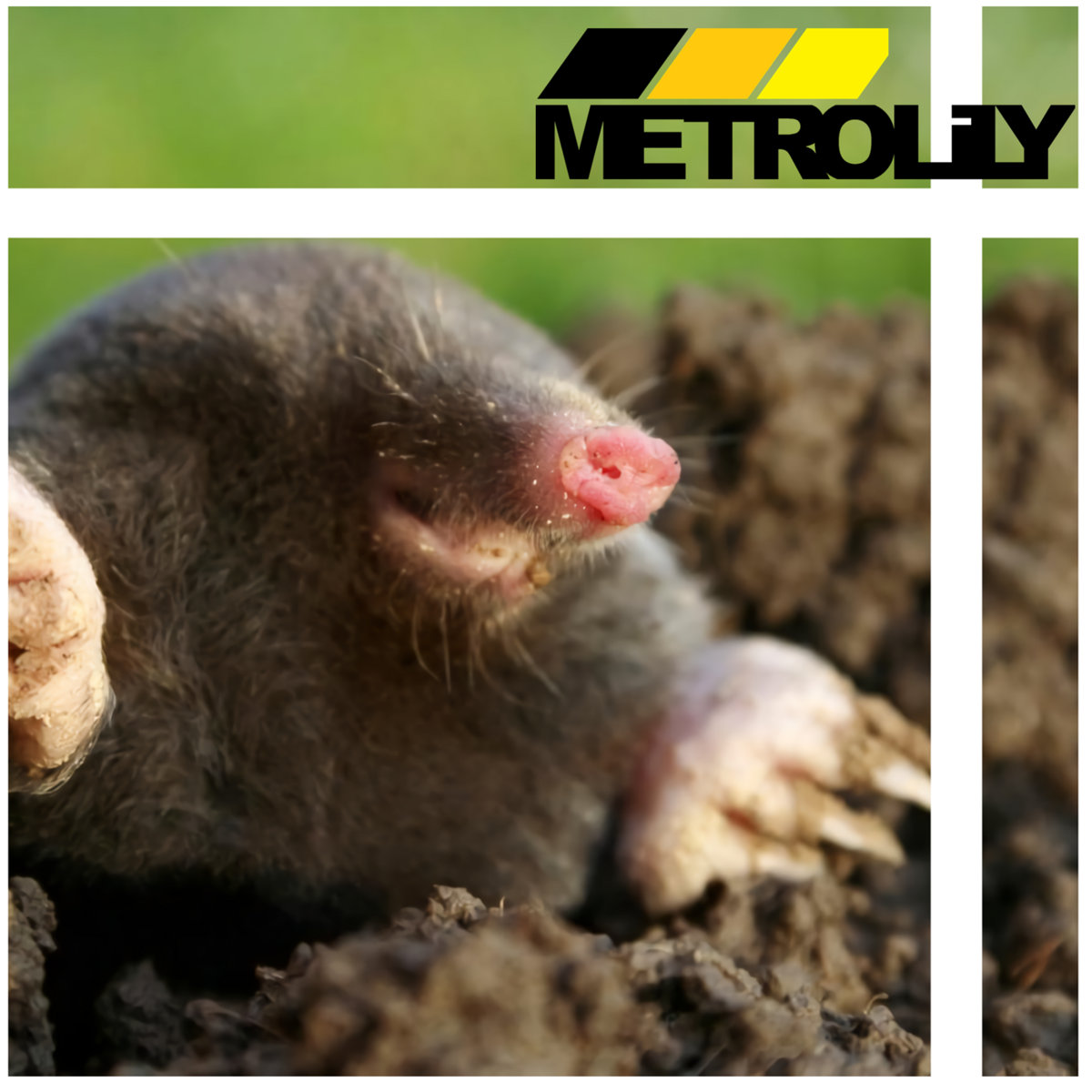 Acieed Pop Moles | metrolily | Nepiaporo Records