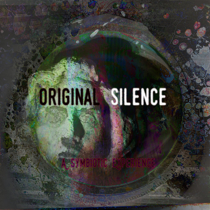 Original silence | A Symbiotic Experience | HAMFUGGI Records