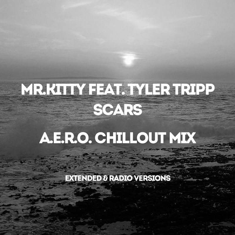 Scars (A.e.r.o. Chillout Mixes) | Mr.Kitty Feat. Tyler Tripp | Albert ...
