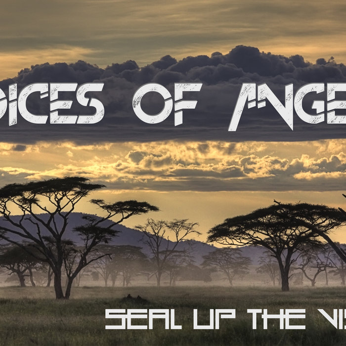 Seal Up The Vision | Voices of Angels | Tommy Comer