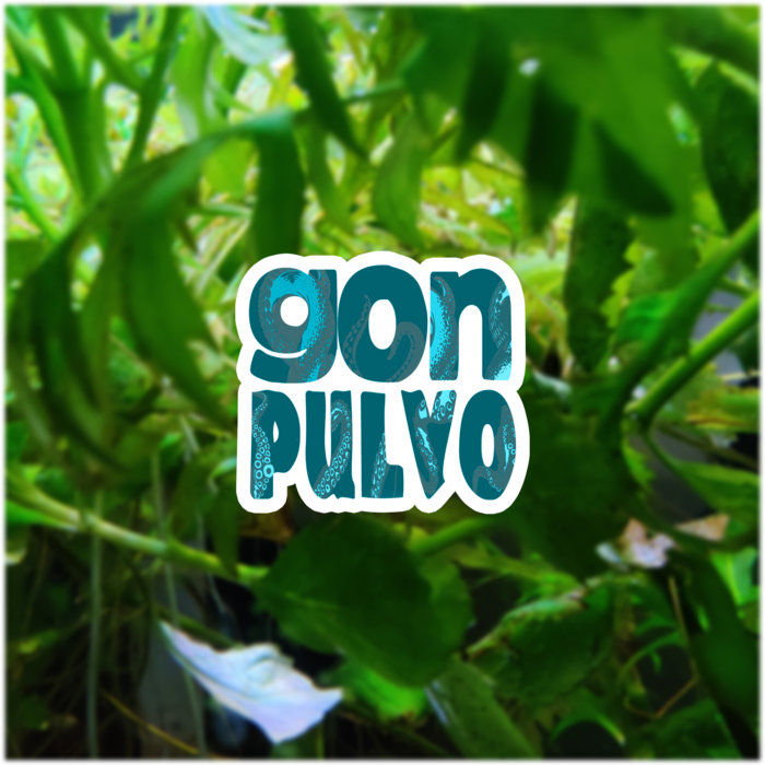 mudbath | gon pulvo