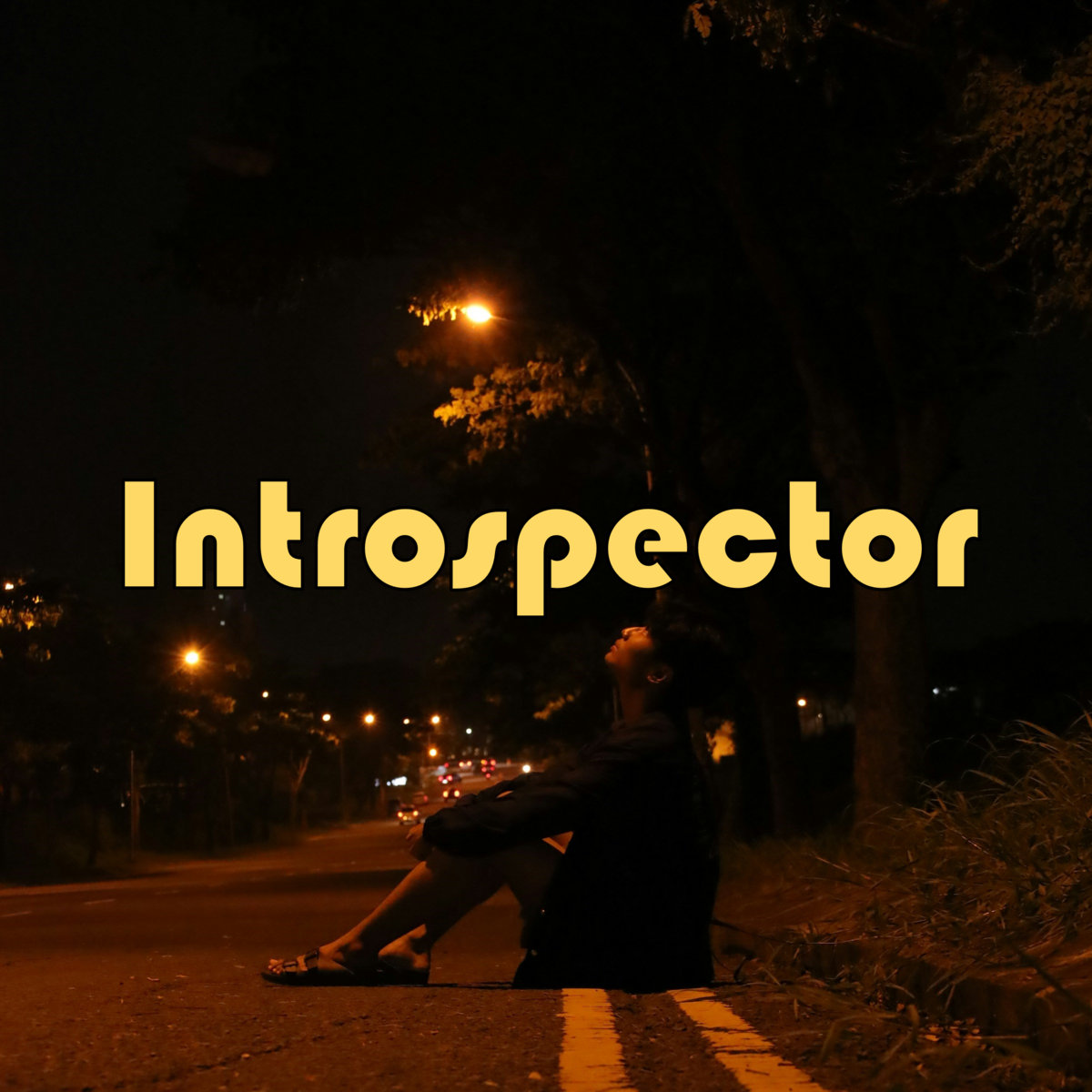 Introspector | David Epperson