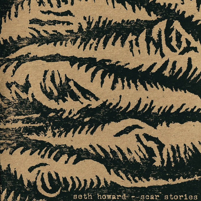 Scar Stories | Seth Howard