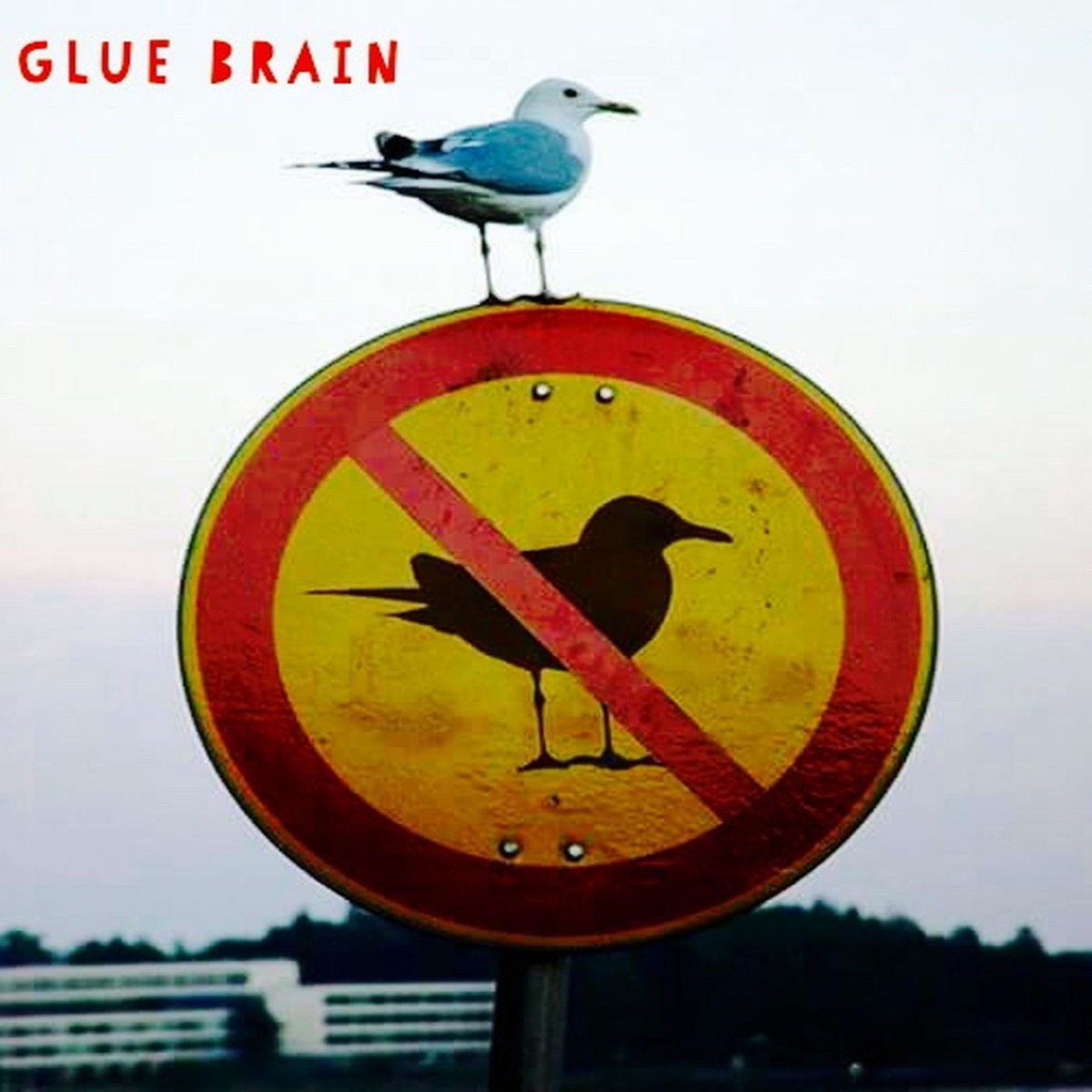 Glue Brain | Jerry Riggs