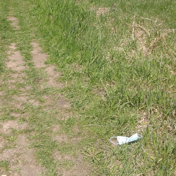 Canadian (mal)Content | Not An Emulator