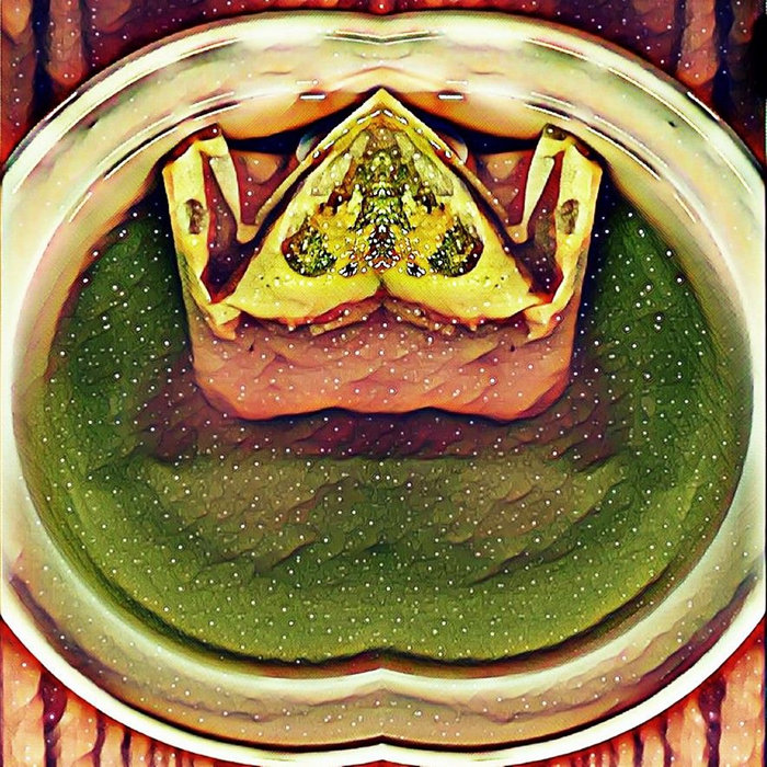 The Froth Of The Liquid Jade | Che Quartez