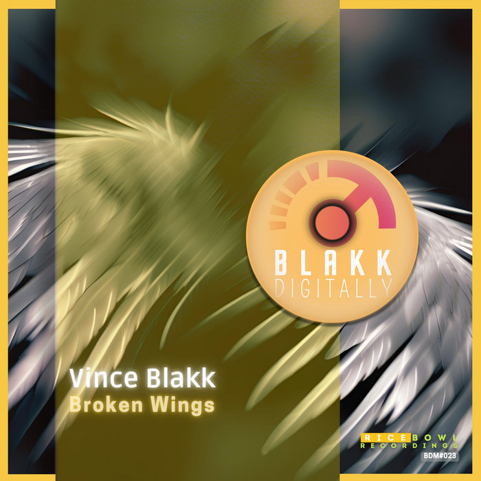 Broken Wings | Vince Blakk | Rice Bowl Recordings